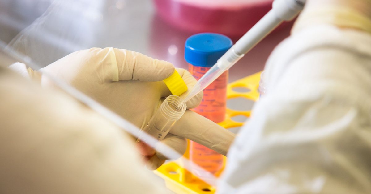 Distinguishing between foreign invaders and healthy tissues | Doherty ...