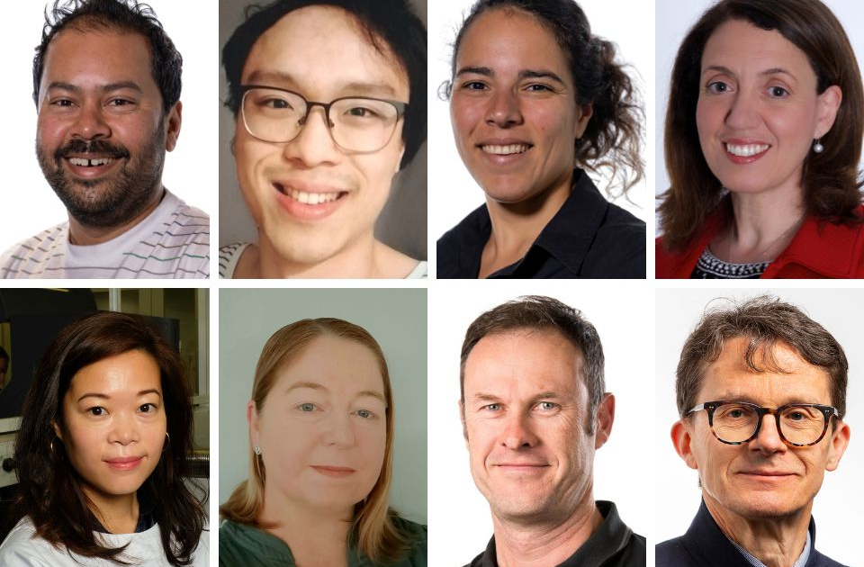 Doherty Institute researchers awarded more than $9 million in NHMRC ...