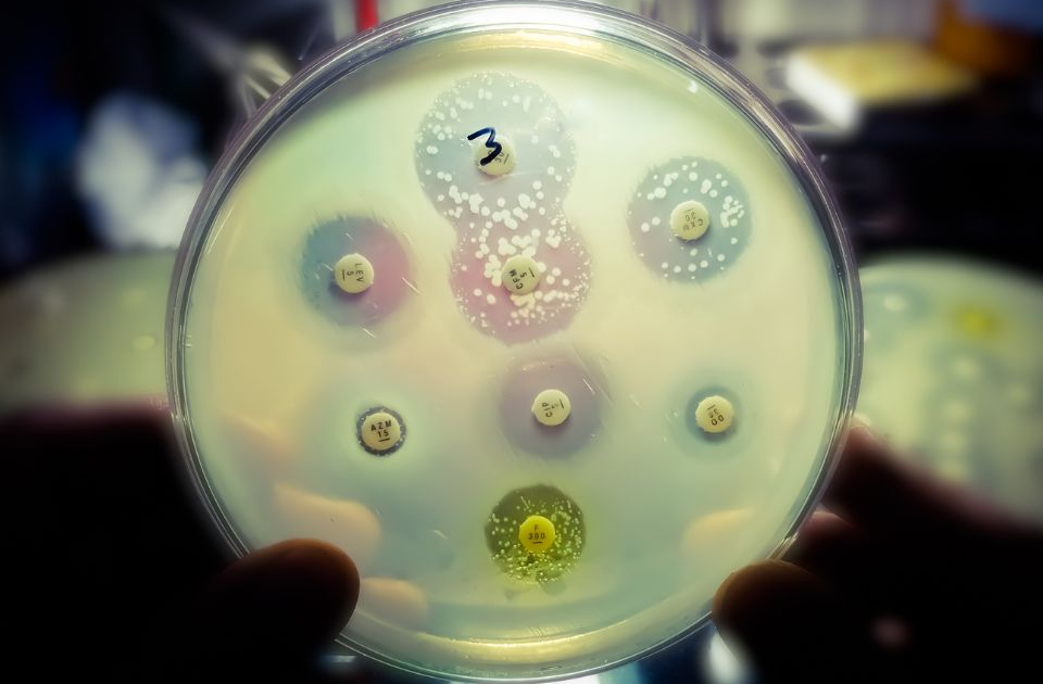 How to slow the spread of deadly ‘superbugs’ | Doherty Website