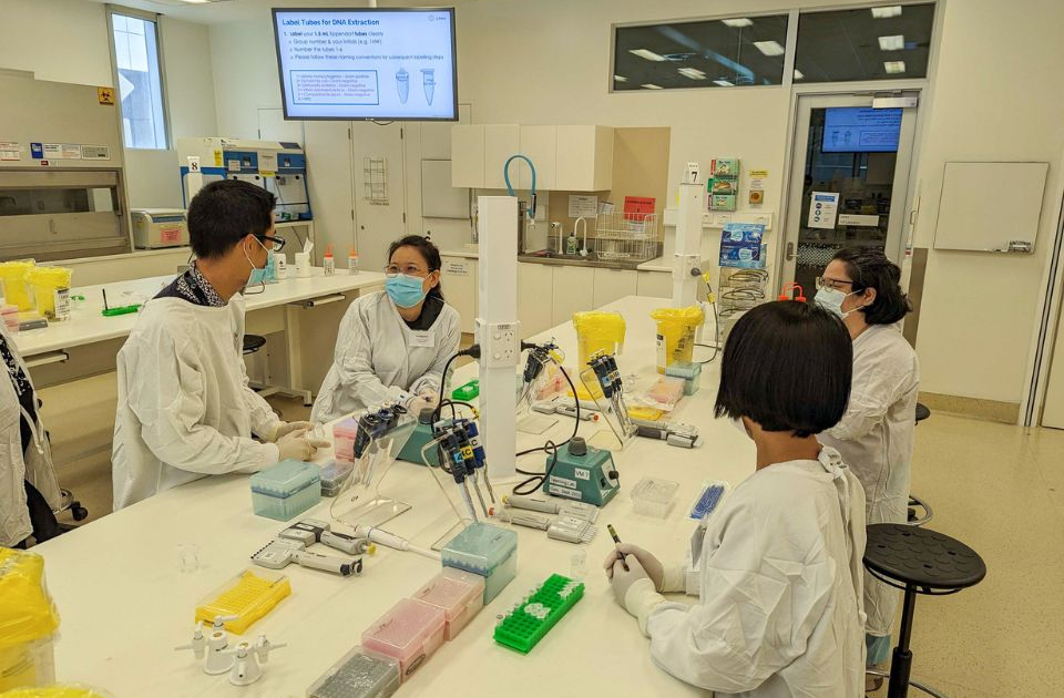 Expanding whole genome sequencing capacity in the Asia-Pacific Region ...