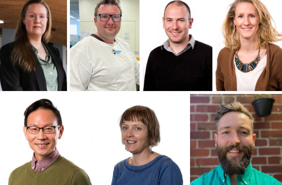 Early career researchers awarded 2023 DMI Collaborative Grants ...