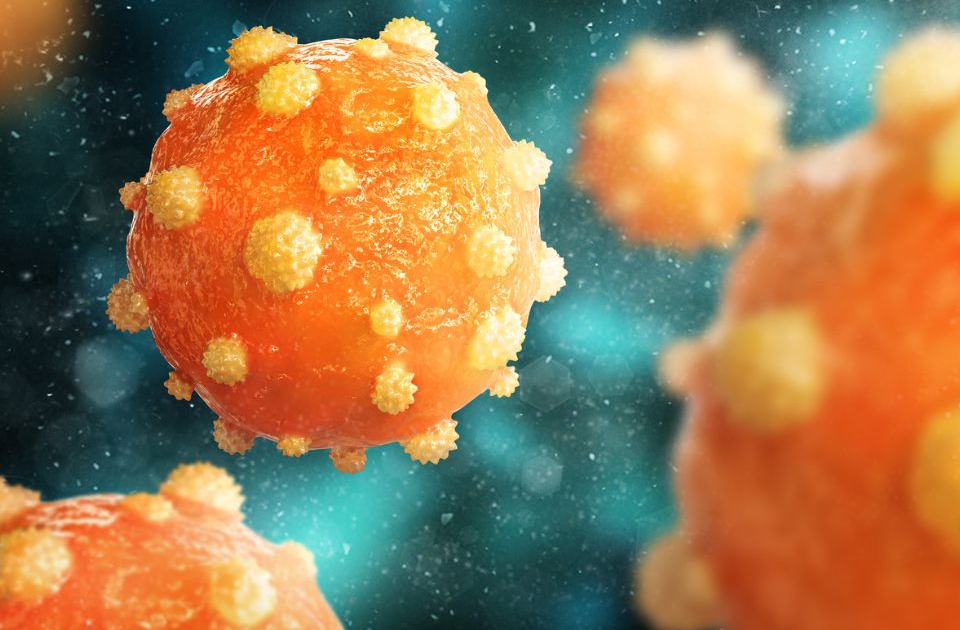 New investment takes Hepatitis B research one step closer to finding a ...