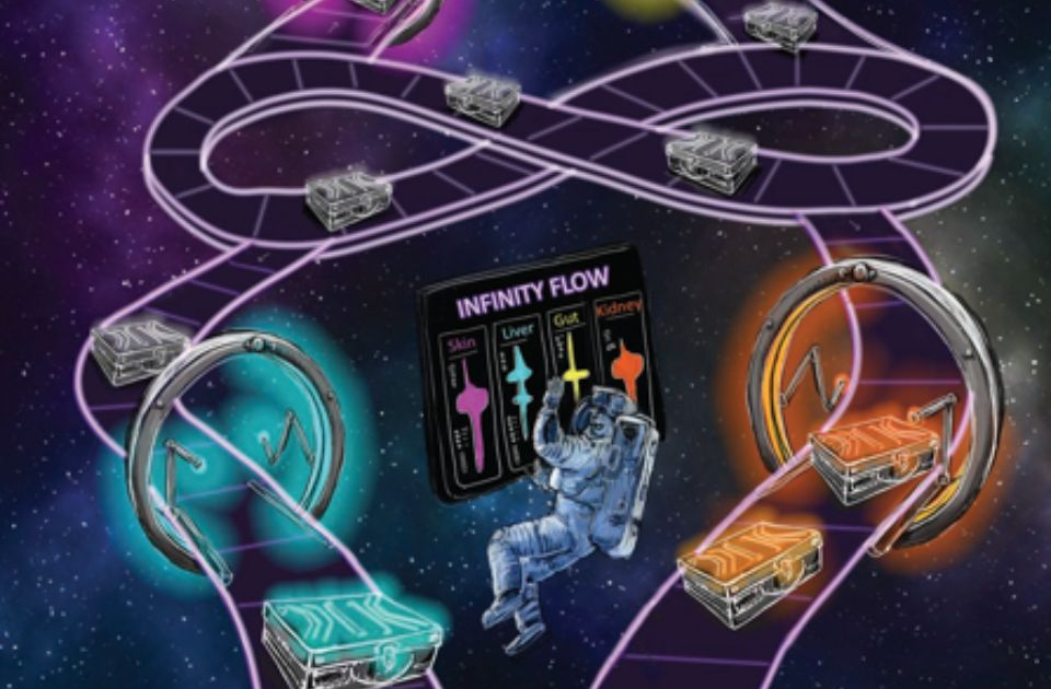 Unravelling the complexity and diversity of memory T cells | Doherty ...