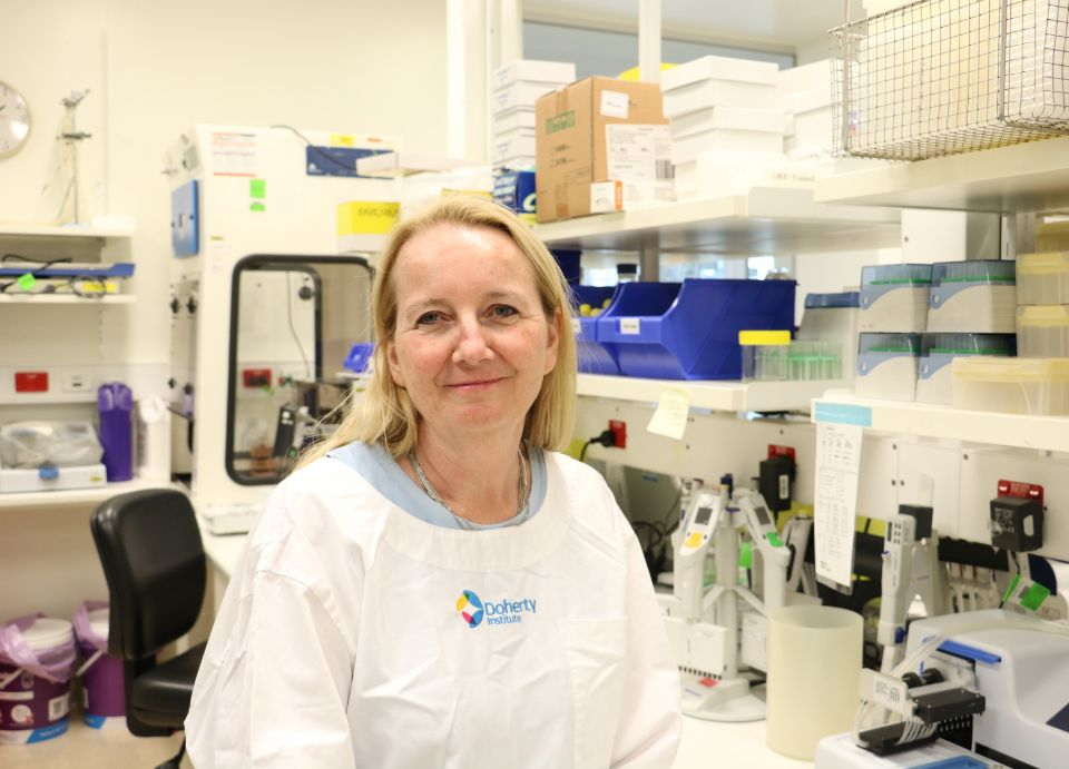 The Peter Doherty Institute for Infection and Immunity | Doherty Website