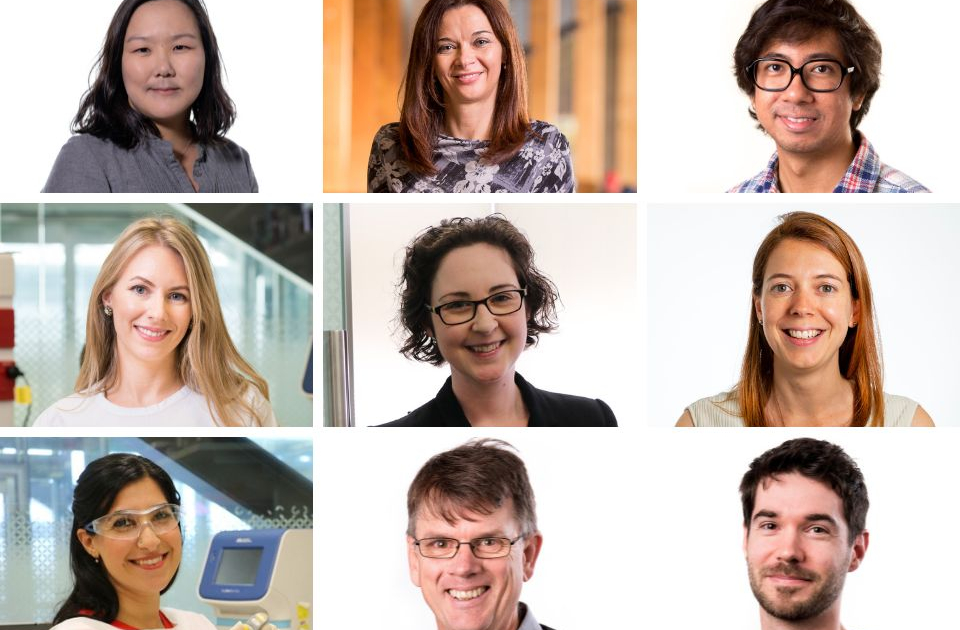 Doherty Institute researchers awarded $14 million in NHMRC Investigator ...