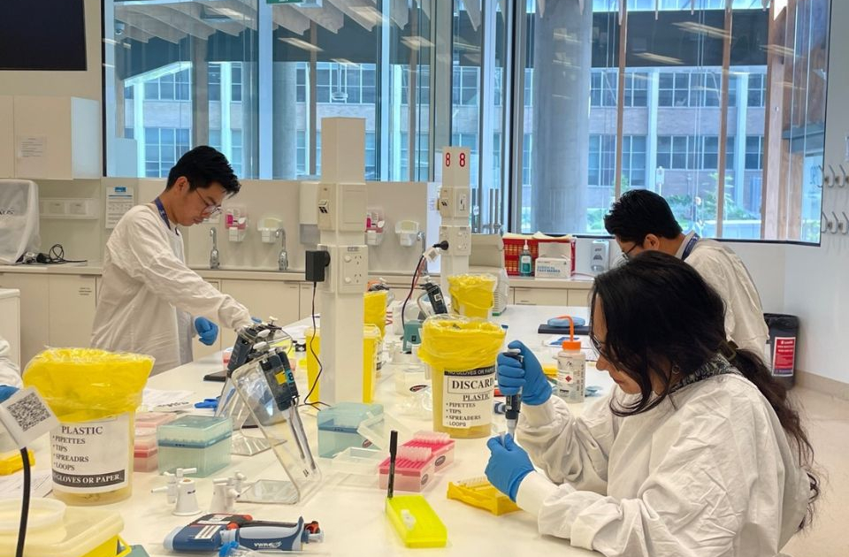 Building regional capacity in pathogen genomics: Australia Awards ...