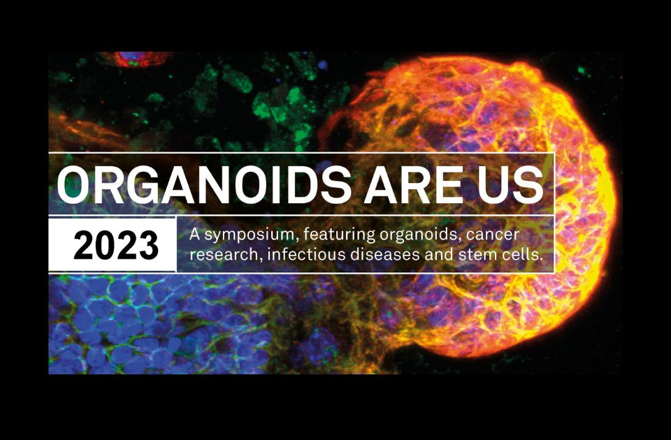 Organoids_Are_Us_2023_TEMPLATE_website_news_image_thumbnail_960_630_c1.jpg