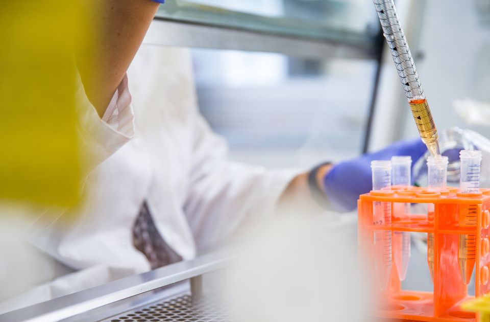 Discovery could lead to more treatments to prevent cancer and ...