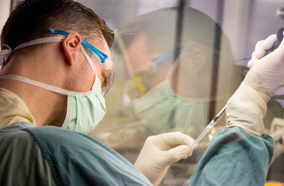 ARC Discovery grant success for Doherty researchers | Doherty Website