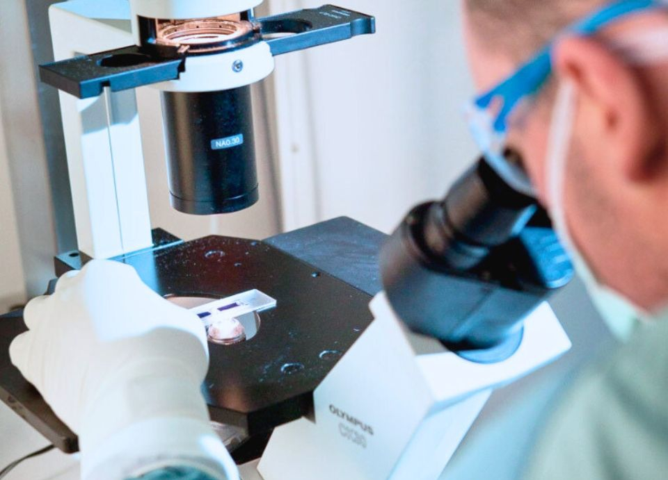 The Peter Doherty Institute for Infection and Immunity | Doherty Website