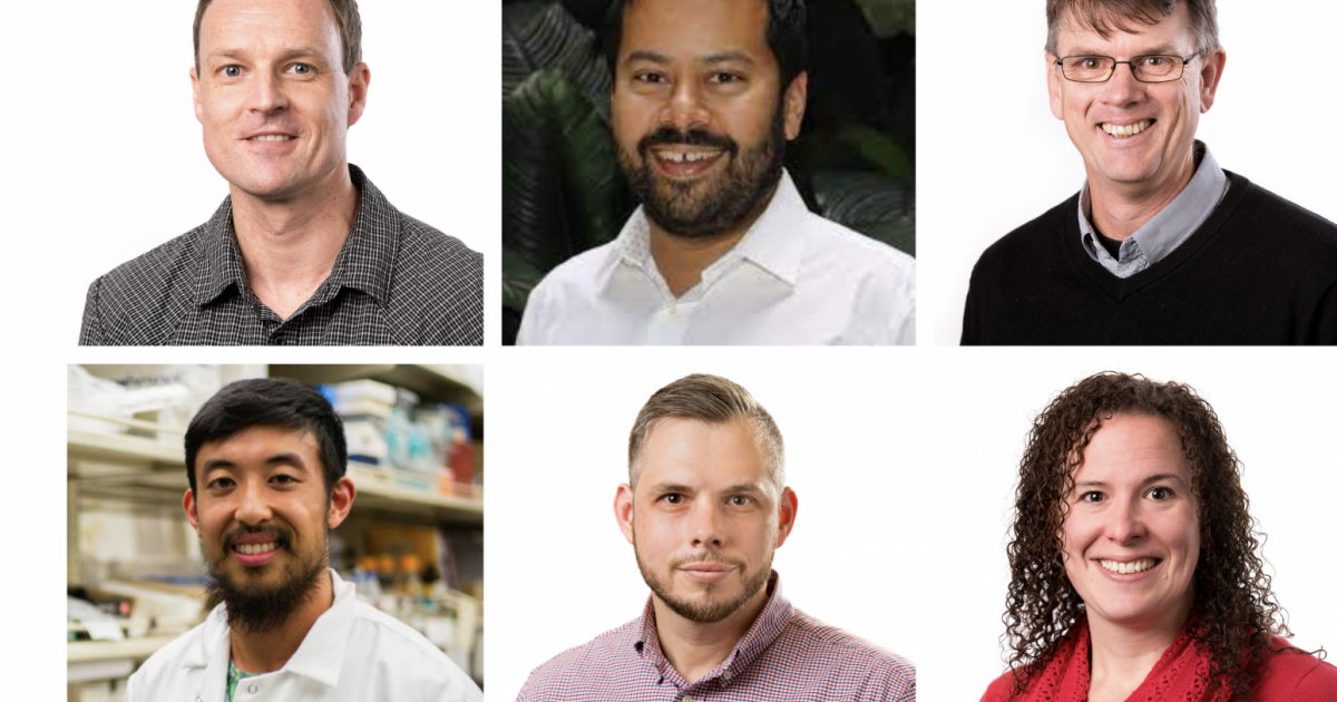 Doherty Institute researchers awarded $5.54 million in latest NHMRC ...