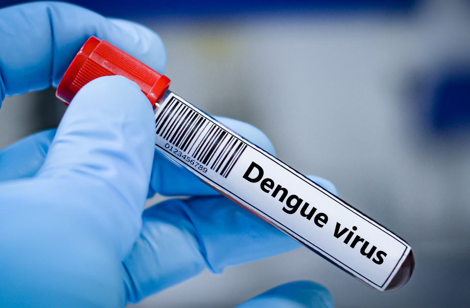 Pacific Islands: Dengue, Whooping Cough & Health Security Risks ...
