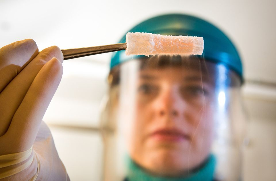 VC2 awards four innovative grants to advance infectious disease ...