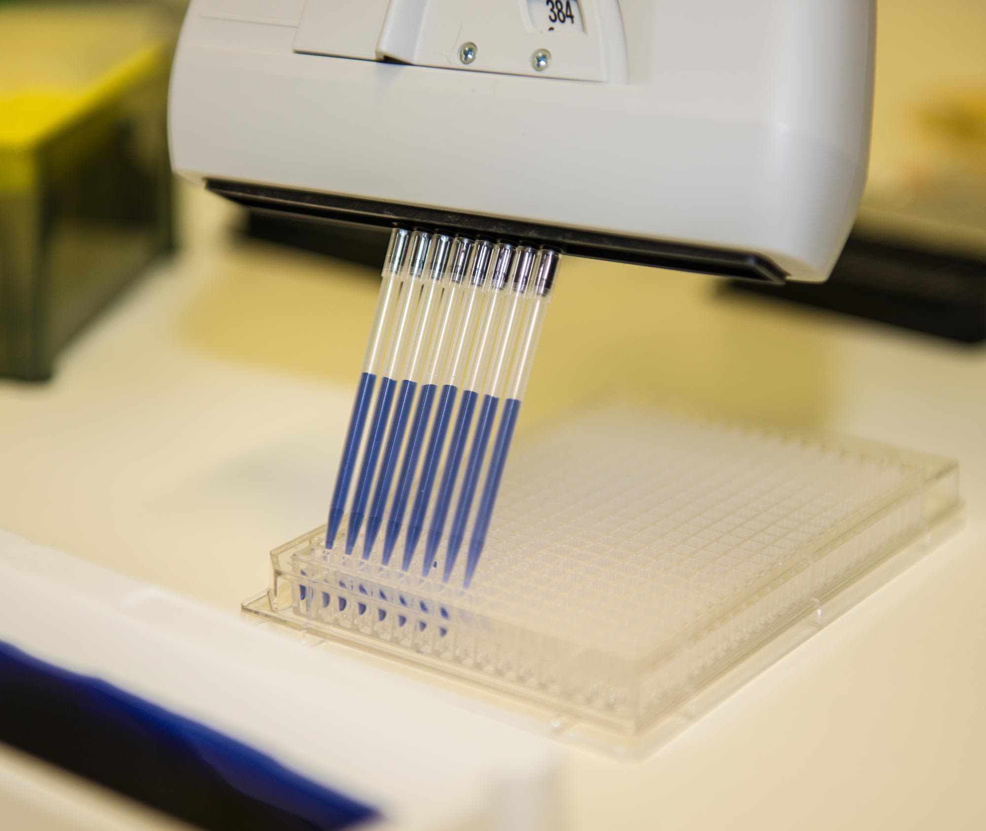 Innovative tools to study SARS-CoV-2