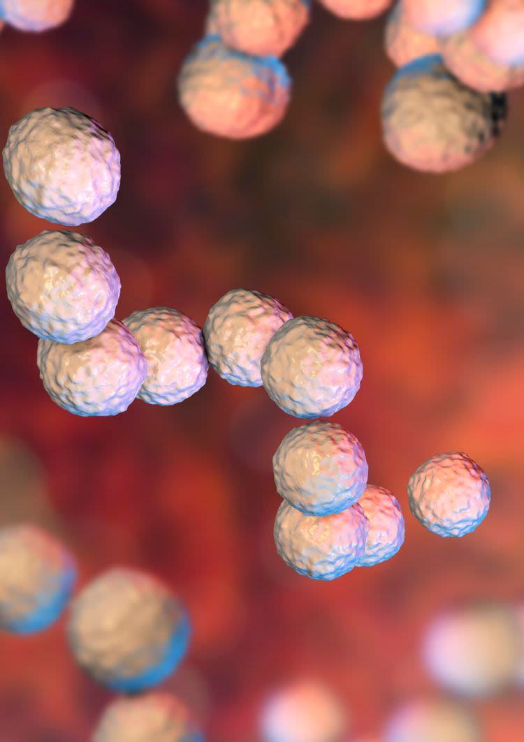 Bacterial and Parasitic Infections