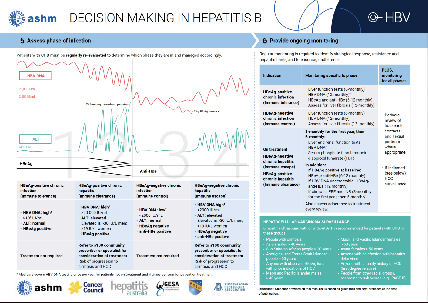 Hepatitis B management | Doherty Website