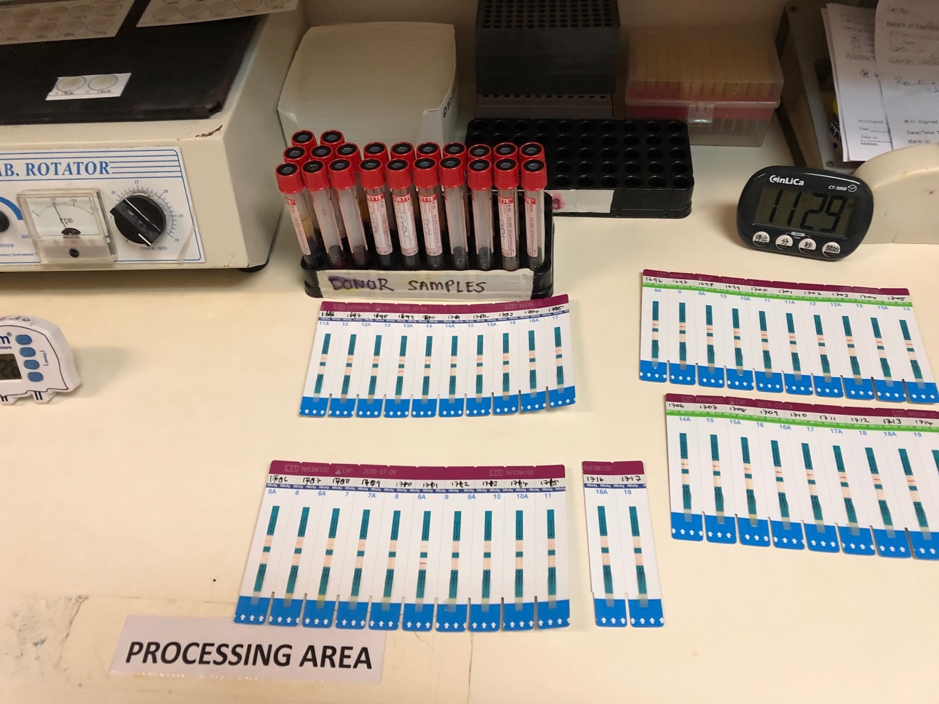 Viral hepatitis scoping review of the Pacific | Doherty Website
