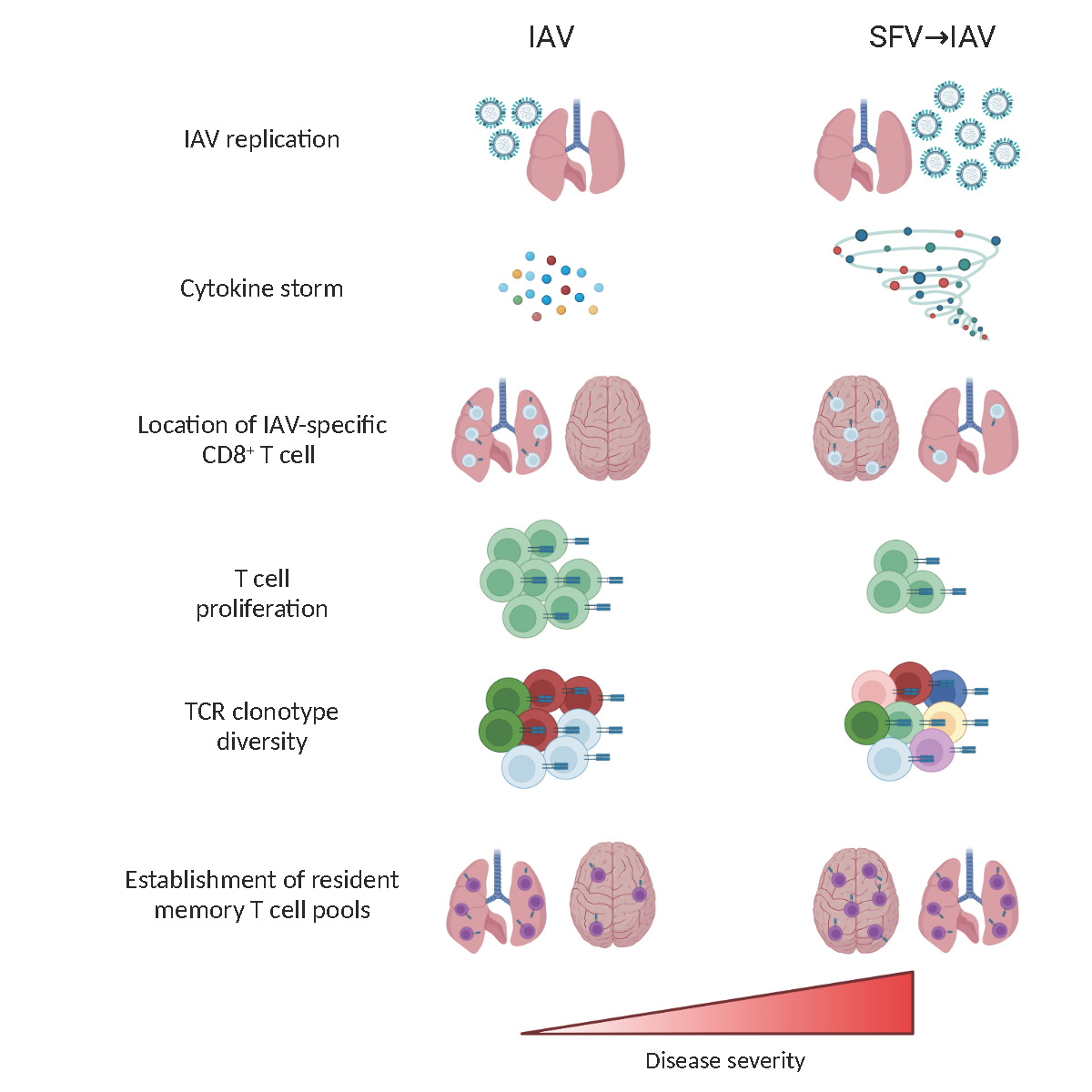 Exploring the ripple effects of co-infections: how unrelated viruses ...