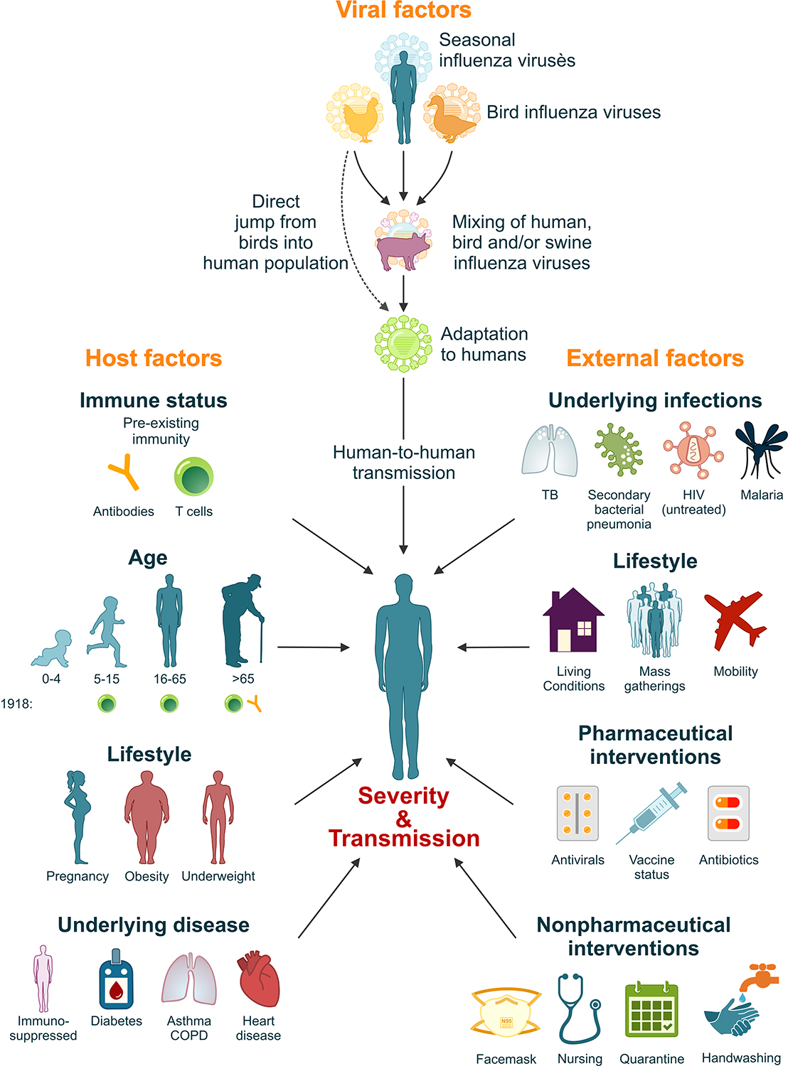 Back to the future: Lessons learned from the 1918 influenza pandemic ...