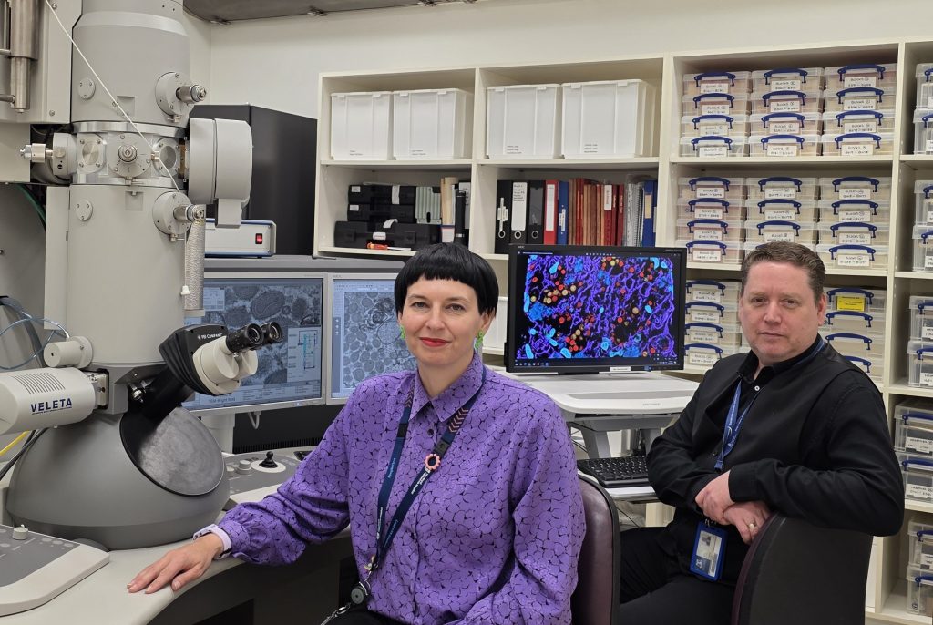 Victorian Infectious Diseases Reference Laboratory (VIDRL) - Doherty ...
