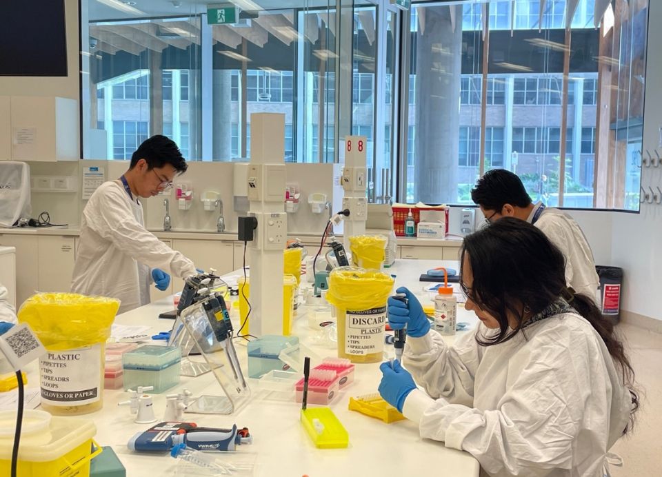 Building regional capacity in pathogen genomics: Australia Awards ...