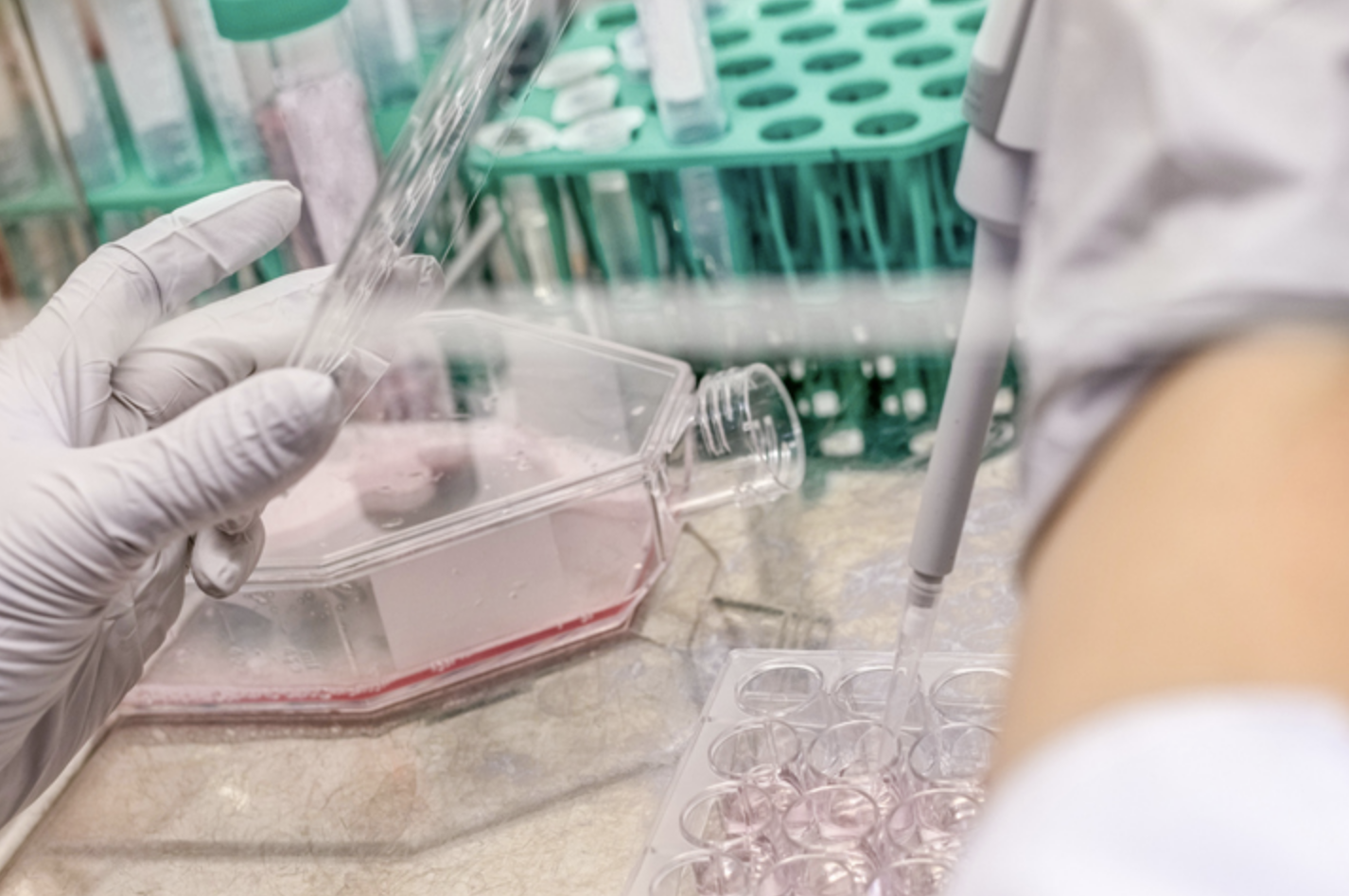 Growing influenza viruses in specialised cells could lead to more ...