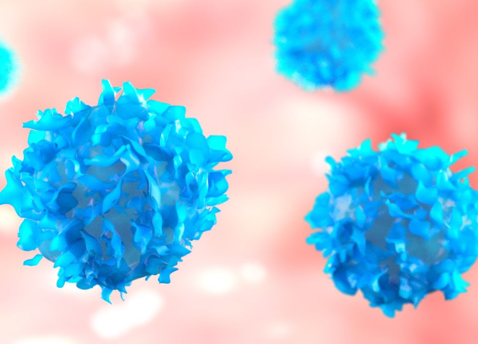 Revealing the blueprint of memory T cells, the key to long-term ...